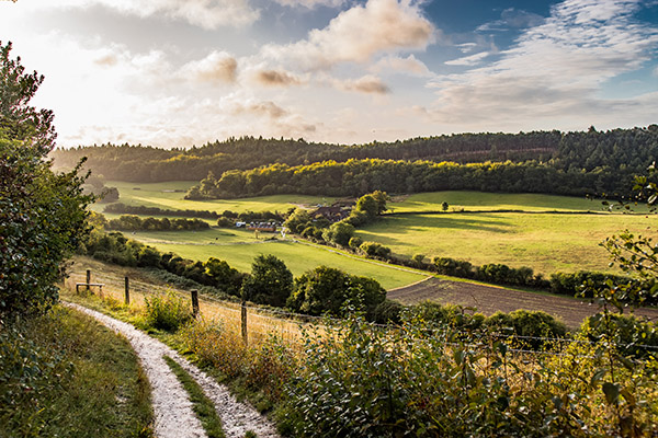 Guildford and the Surrey countryside | British Tours